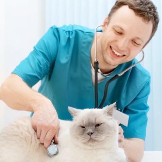 Clinique vétérinaire Argos SpéNAC